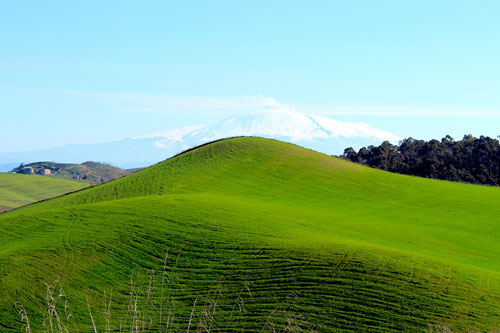 Aidone-Morgantina | Top Sites to See in Sicily